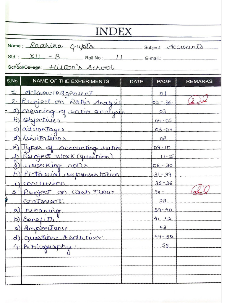 Accounts Project 3 | PDF