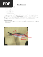Fish Dissection Guide for Systems | PDF | Digestion | Fish