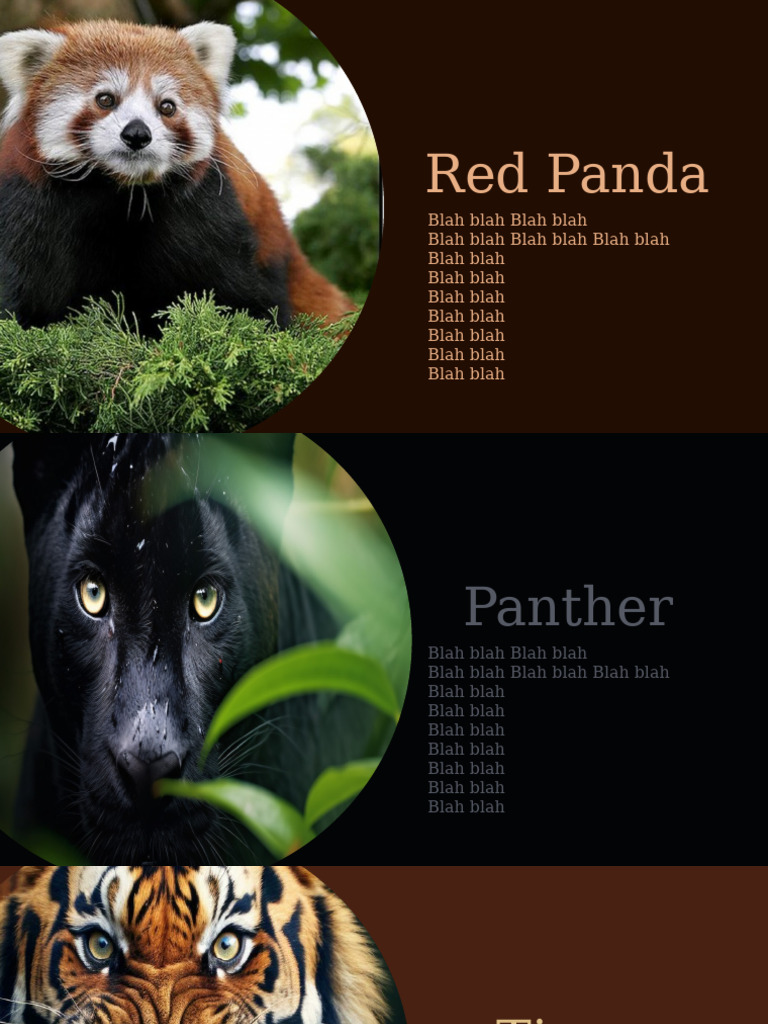 Red Panda and Other Animals Overview | PDF