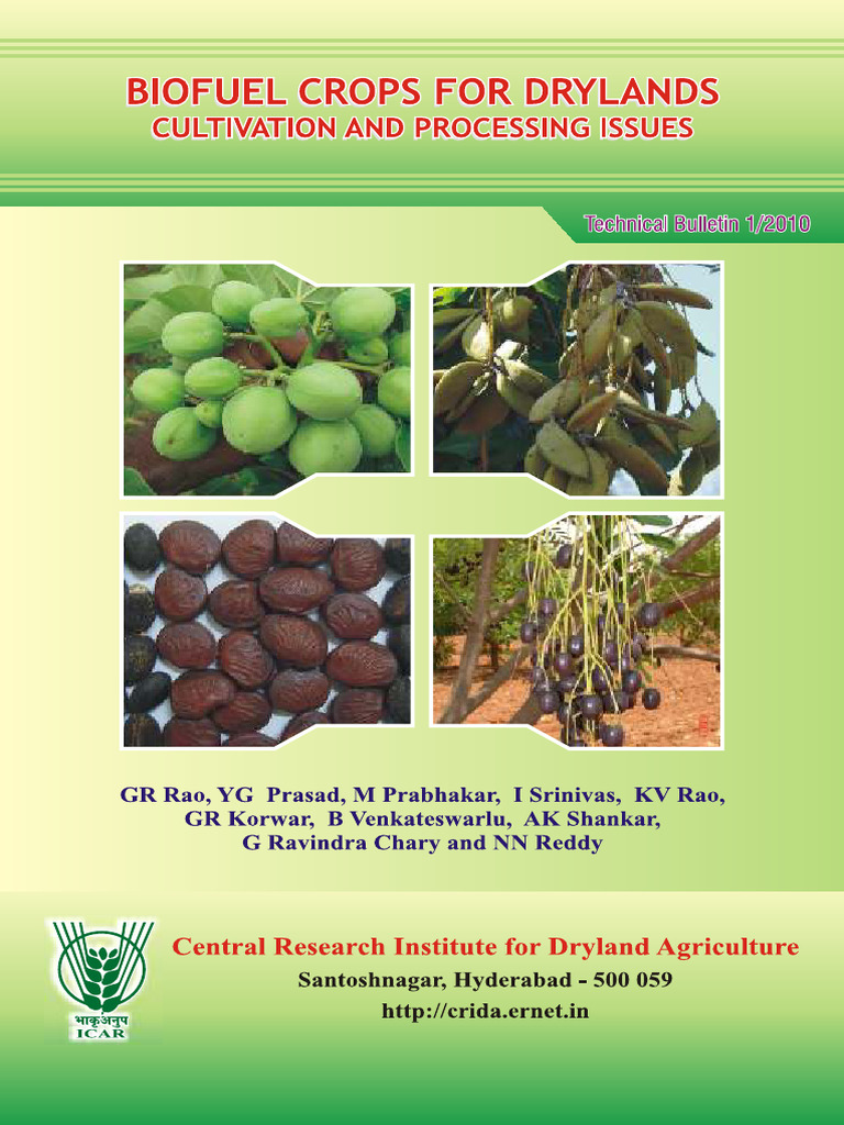 Biofuel Crops | PDF