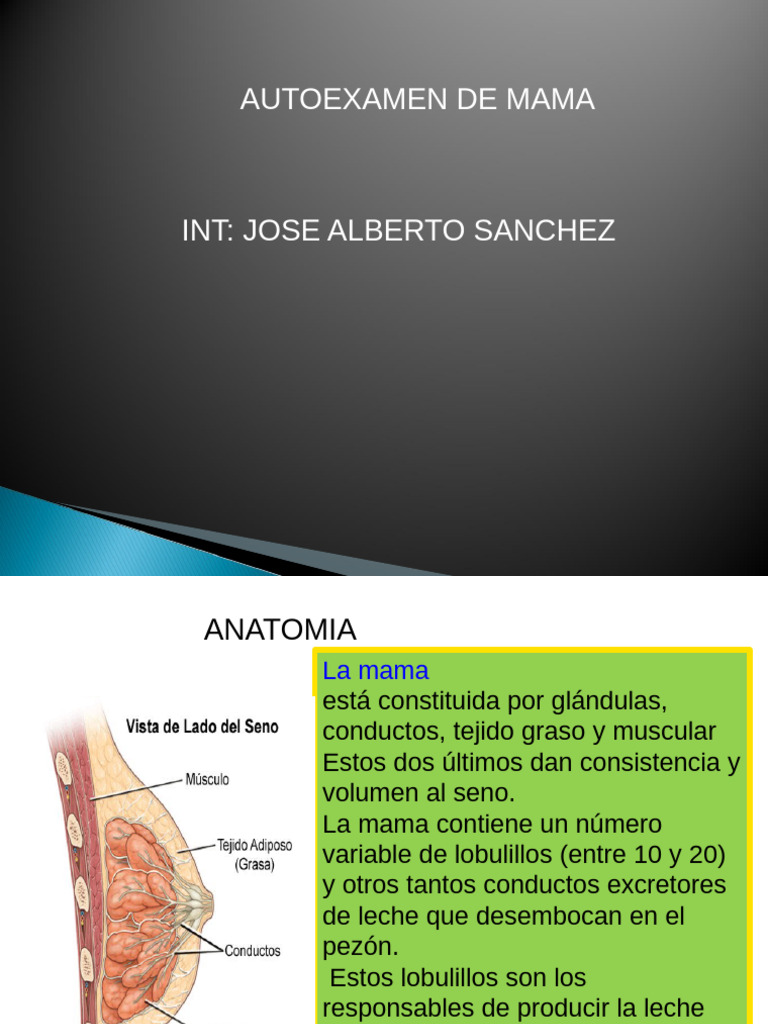 Jose Auto | PDF | Pecho | Cáncer de mama