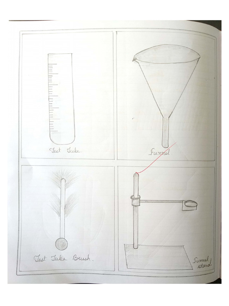 Class 11 Practical Pdf 9581