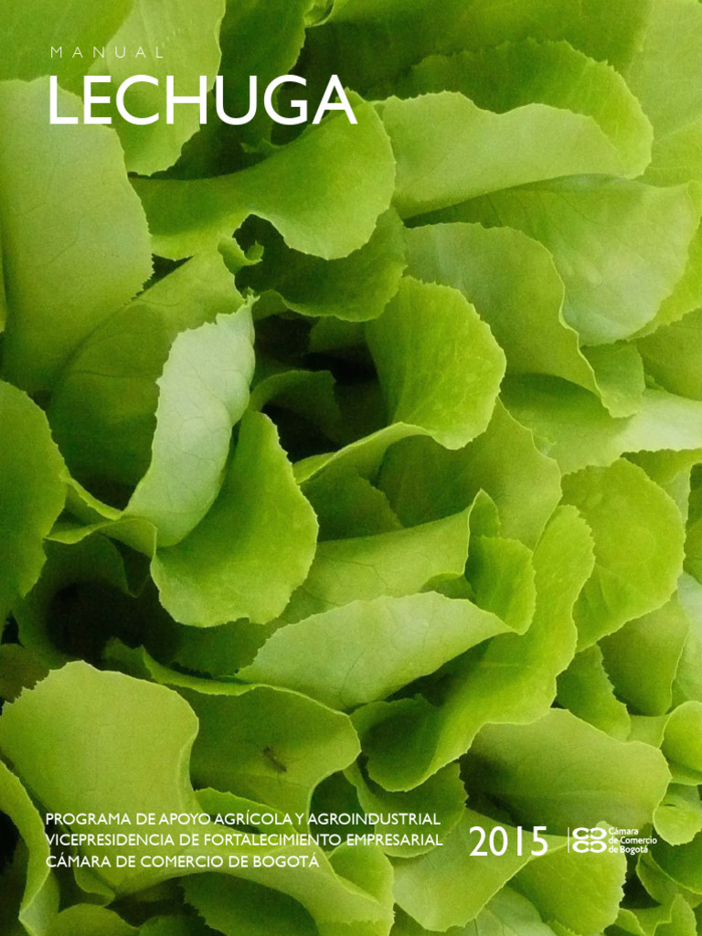 Lechuga | PDF | Lechuga | Agricultura