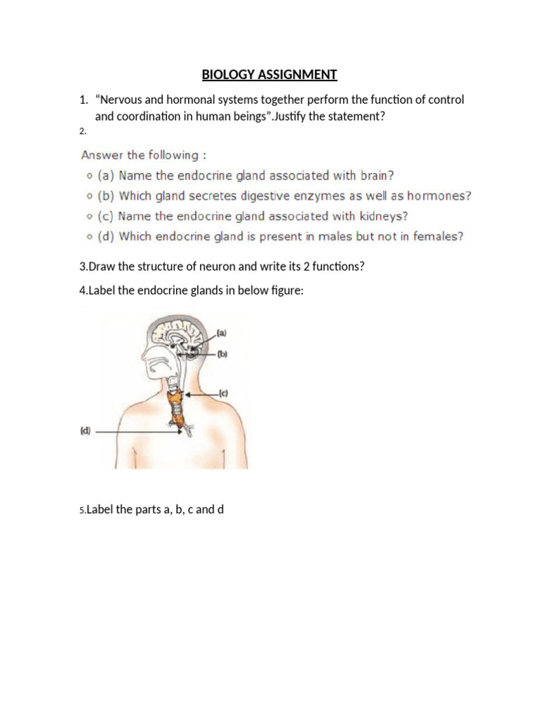 Class 10 Bio Assignment | PDF