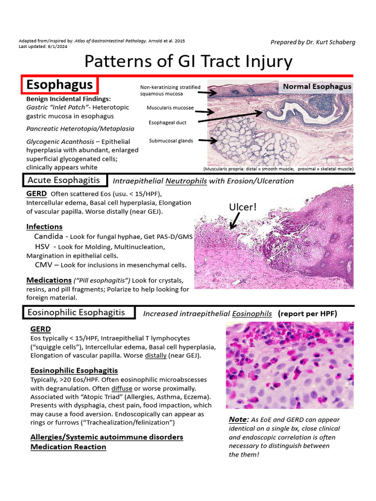 Kurt's Notes - 08 Dec 2024 | PDF | Ulcerative Colitis | Crohn's Disease