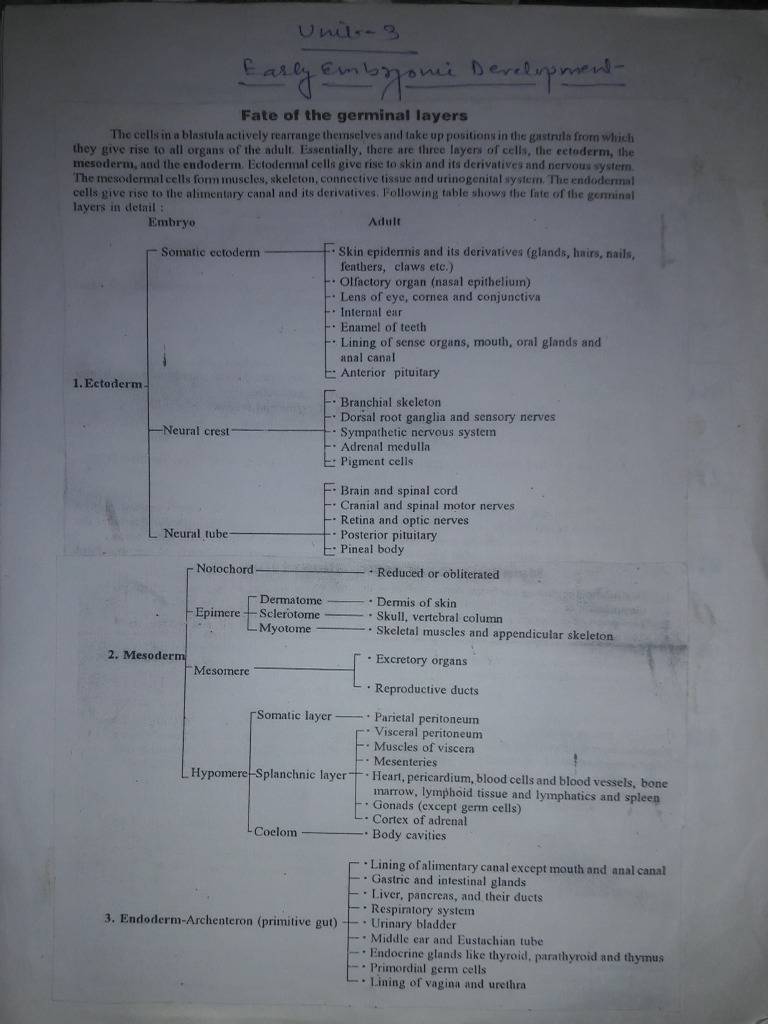 Unit 3 Dev Dev bio | PDF Unit 3 Dev Dev bio | PDF