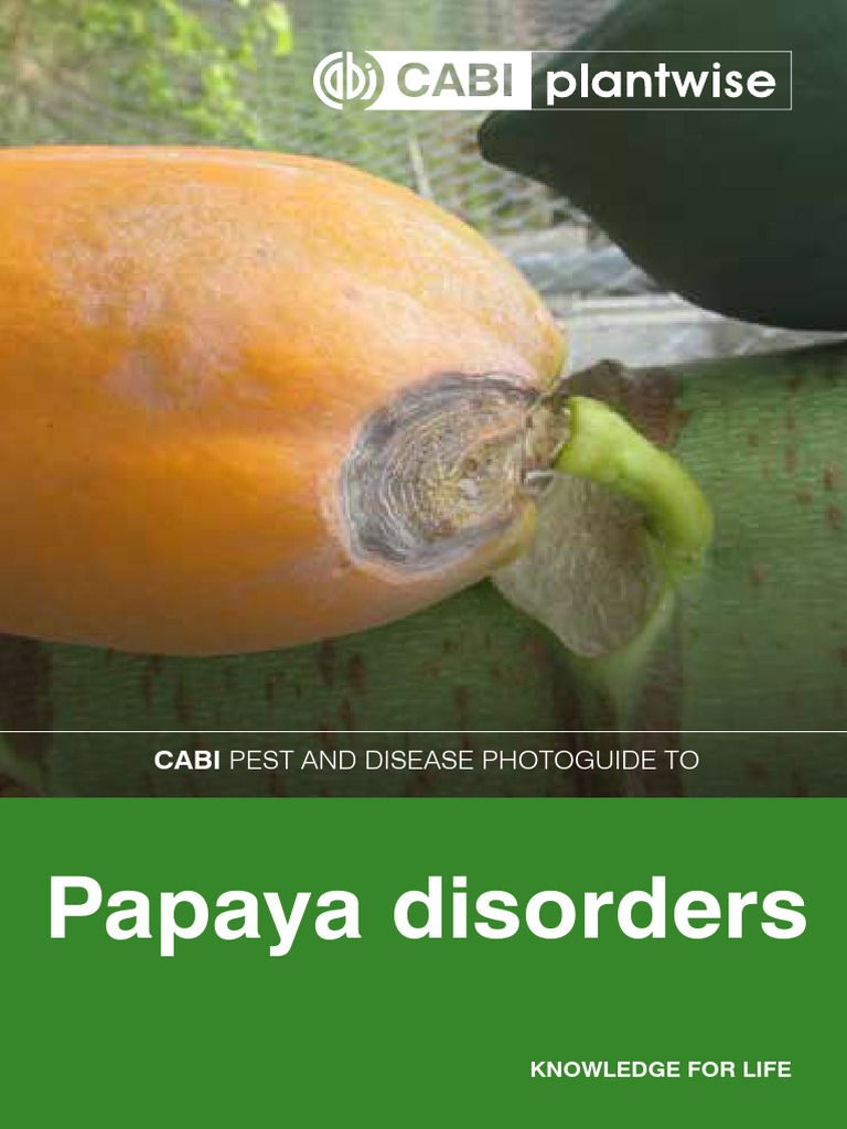 Papaya Pest & Disease Guide | PDF | Pest (Organism) | Plants