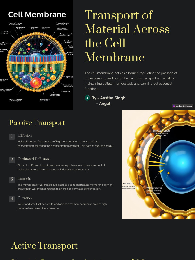 Transport-of-Material-Across-the-Cell-Membrane (Aastha and Angel) | PDF ...