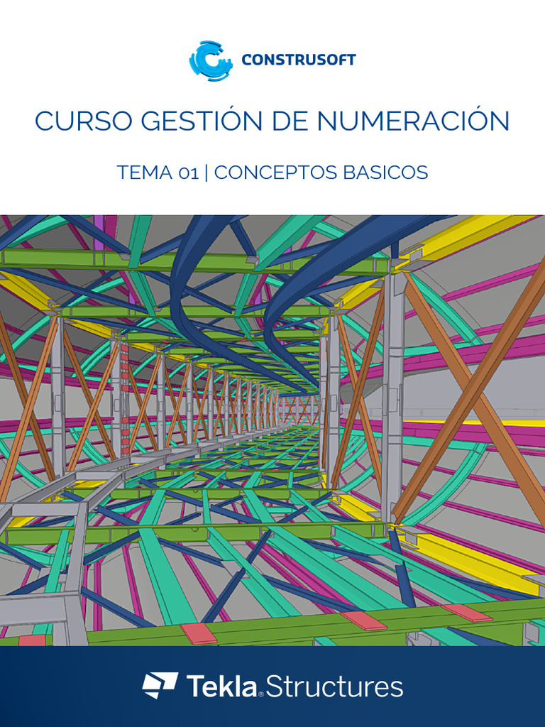 Curso Gestión de Numeración: Tema 01 - Conceptos Basicos | PDF