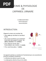Anatomie des reins et leur vascularisation | PDF | Rein | Foie