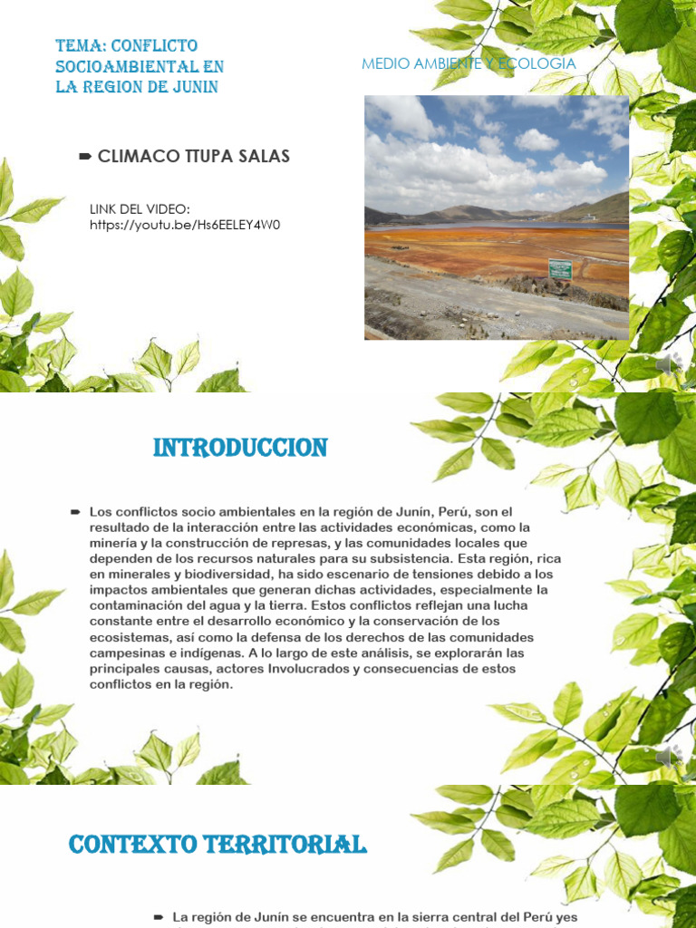 Producto Academico 3 Medio Ambiente | PDF | Entorno natural | Minería