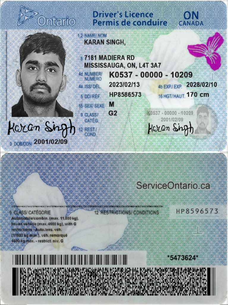 Ontario DL Sighn | PDF