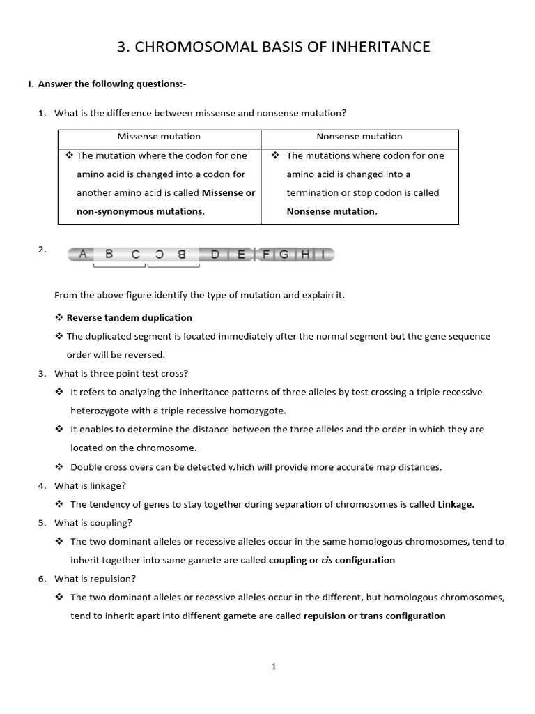 Chromosomal Basis of Inheritance | PDF | Genetic Linkage | Dominance ...