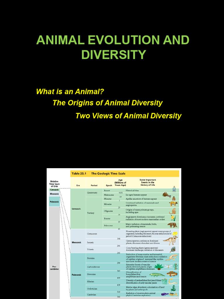 Animal Evolution and Diversity | PDF | Biology