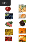 The Ultimate Fruit Flavor Pairing Chart | PDF | Fruit | Clove