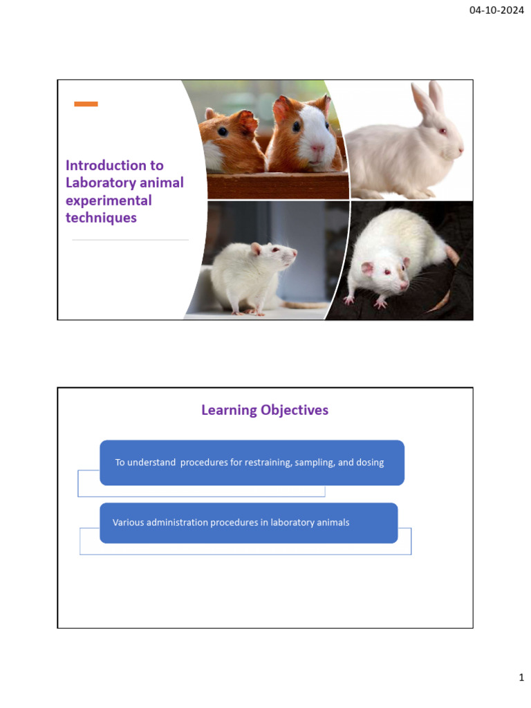 Session 42 Experimental Animal Techniques - 5aef2c0 - 241104 - 083856 ...