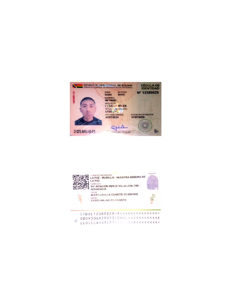 IdCard 202411171037 | PDF