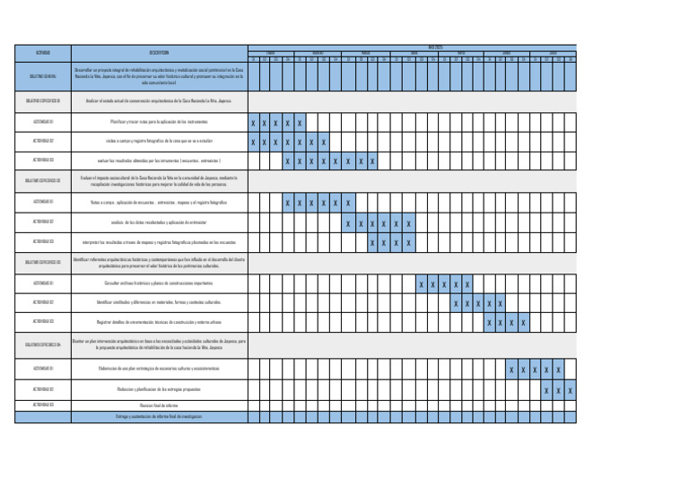 Cronograma Gerson | PDF