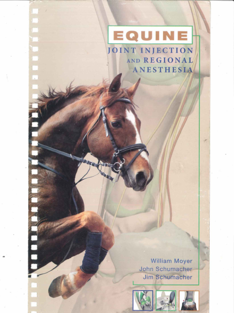 Equine Joint Injection and Regional Anesthesia Moye, Schumacher ...