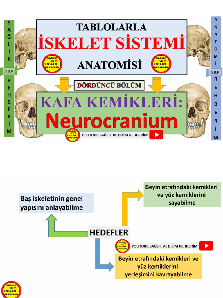 4-KAFA KEMİKLERİ ANATOMİSİ,BEYNİ ÇEVRELEYEN KEMİKLER (sAĞLIK VE BİLİM ...
