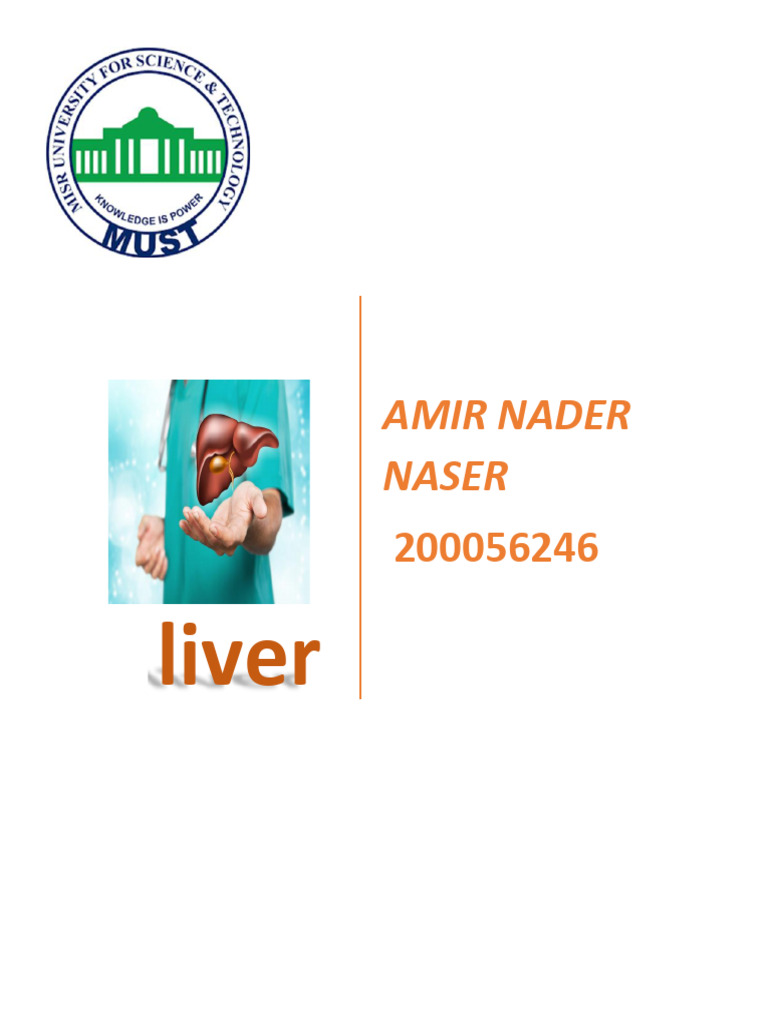 Liver: Amir Nader Naser | PDF | Liver | Abdomen