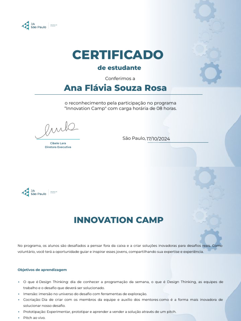 Certificado IC - Ana Flávia Souza Rosa | PDF