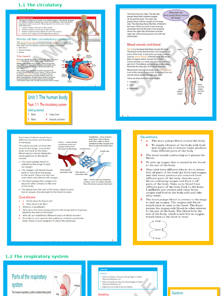 LB - WB - Science Grade 6 | PDF