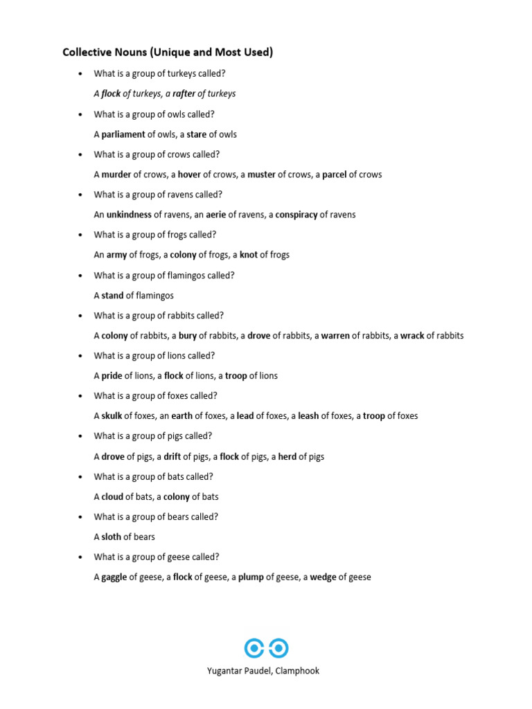 Vocabulary Cheat Sheet-1 | PDF | Goose | Birds