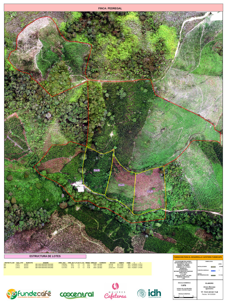 Mapa Beyanith Montes Sanchez | PDF