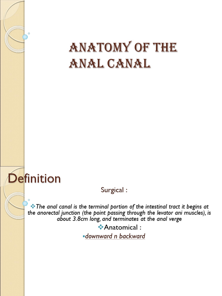 Anatomy and Function of the Anal Canal | PDF | Rectum | Hemorrhoid