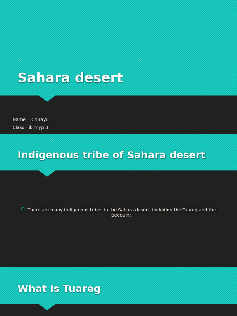 Assignment "Sahara Desert" | PDF