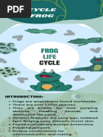 Lizard Life Cycle | PDF