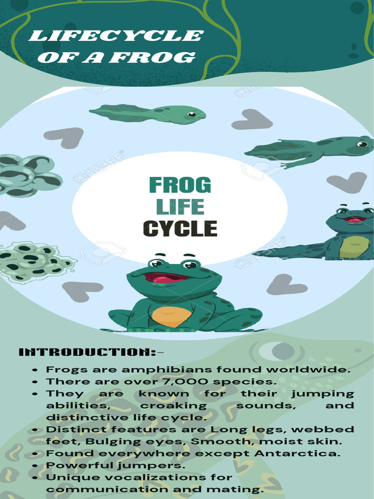 Lifecycle of a Frog Infographics | PDF