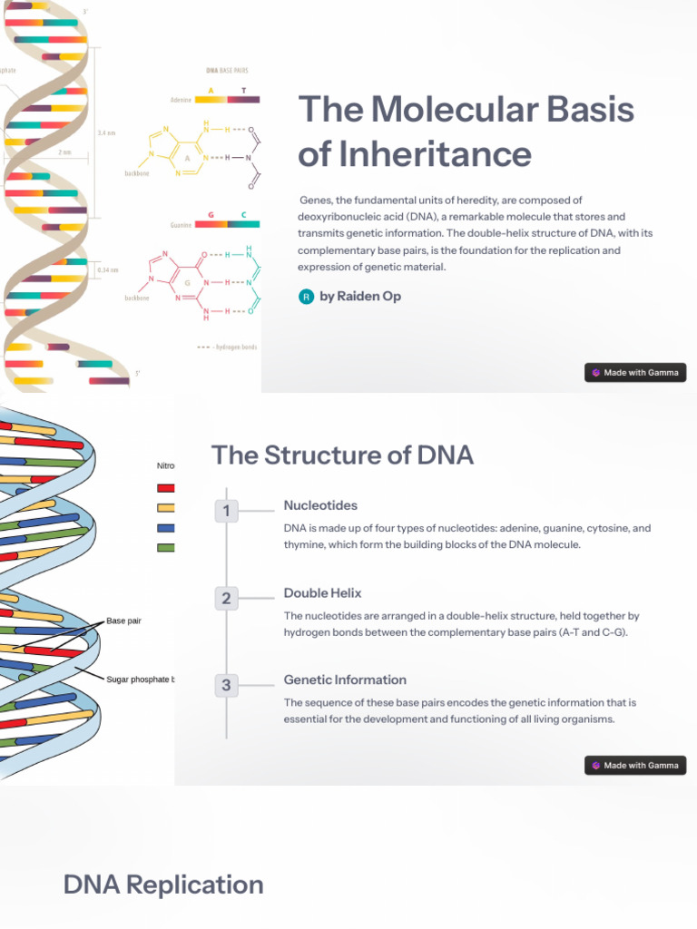 Molecular Genetics: DNA to Proteins | PDF | Dna | Nucleic Acid Sequence