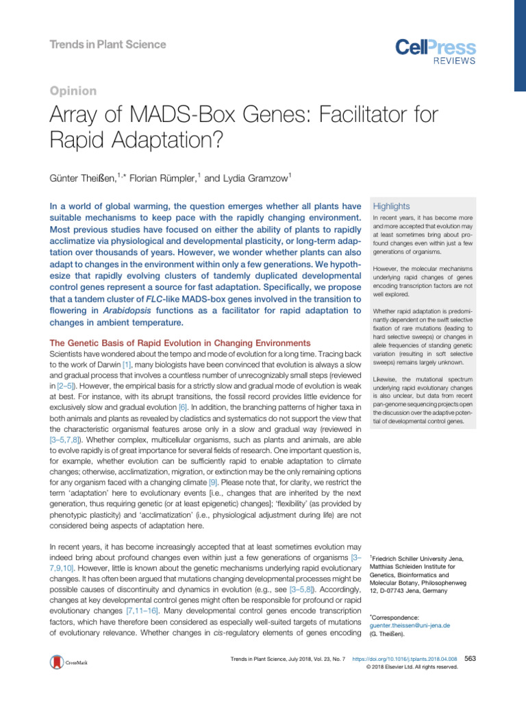 Array of MADS Box Genes Facilitator For Rapid Ada | PDF | Mutation ...