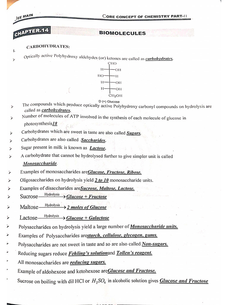 Biomolecules Core Concepts Pdf