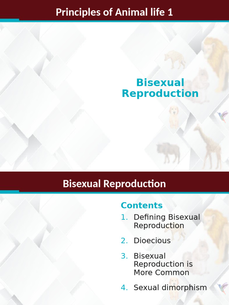 Bisexual Reproduction | PDF