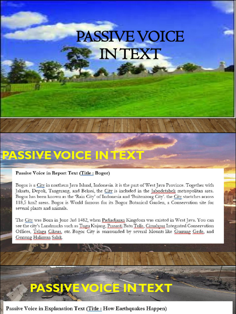 Understanding Passive Voice Usage | PDF