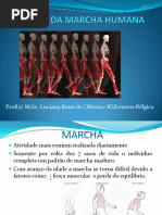 Fases da Marcha Humana e Seus Músculos | PDF