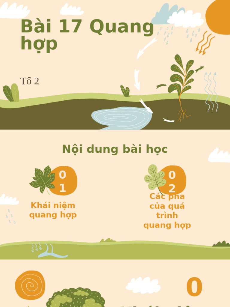 Quang H P | PDF