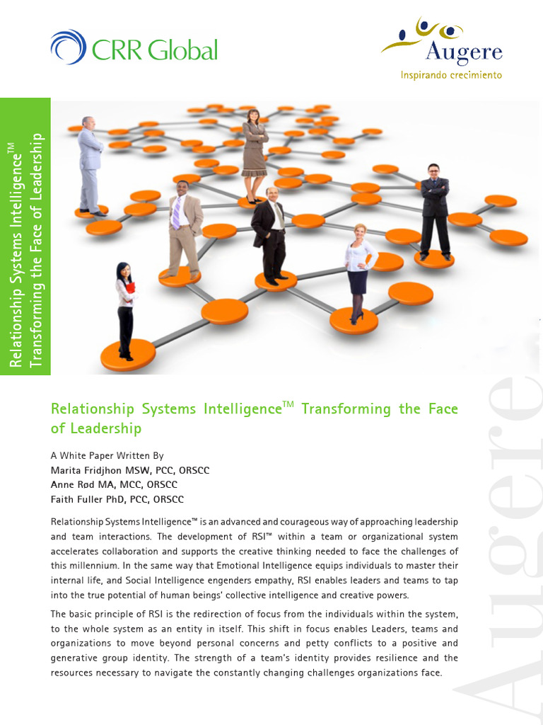 RSI Relationship - Systems - Intelligence - 23 - 01 - 15 | PDF ...