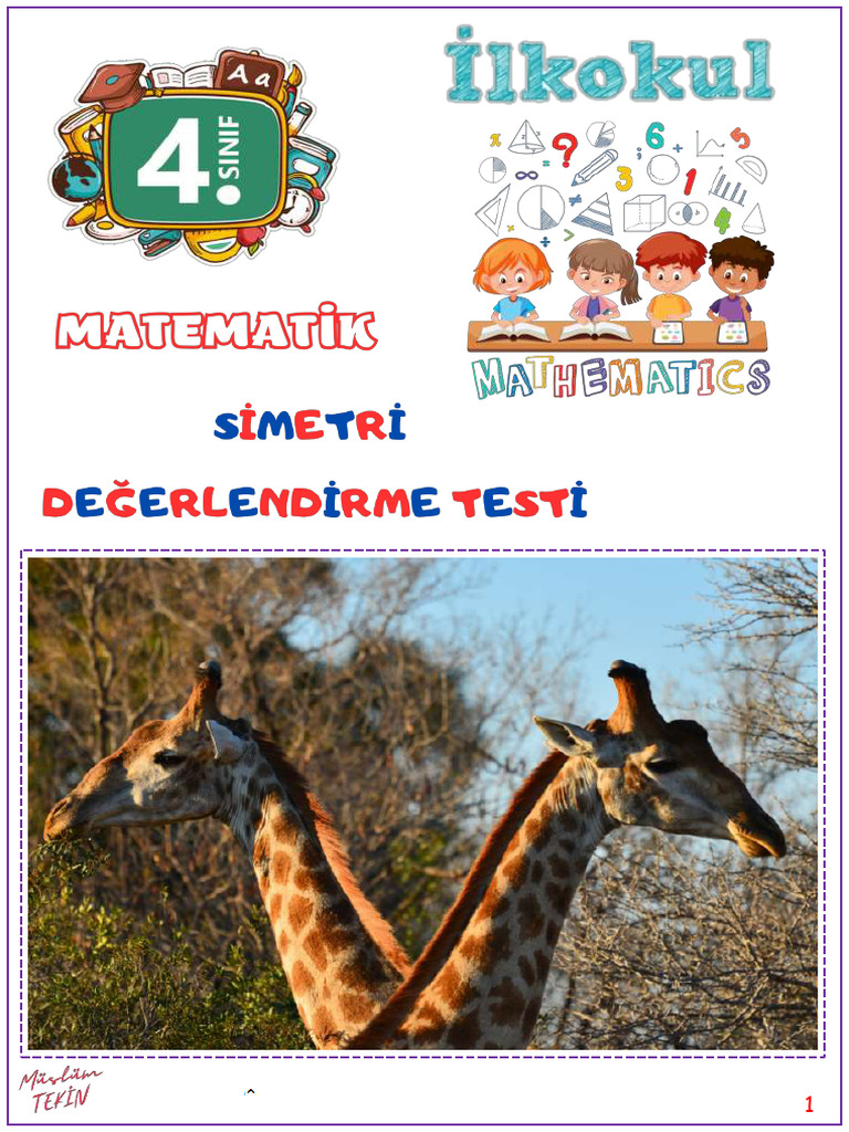 4.sınıf Simetri | PDF