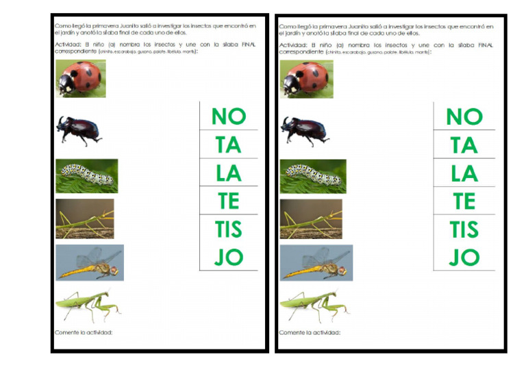 Unir Silaba Final en Insectos | PDF