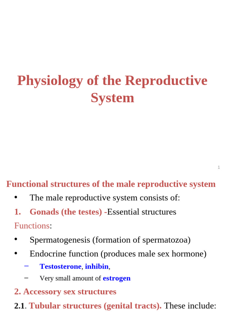 Physiology of The Reproductive System | PDF | Testicle | Testosterone
