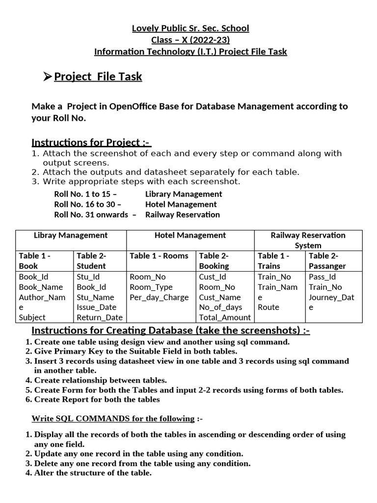 Class 10 IT Project Guidelines | PDF | Computer Data | Software