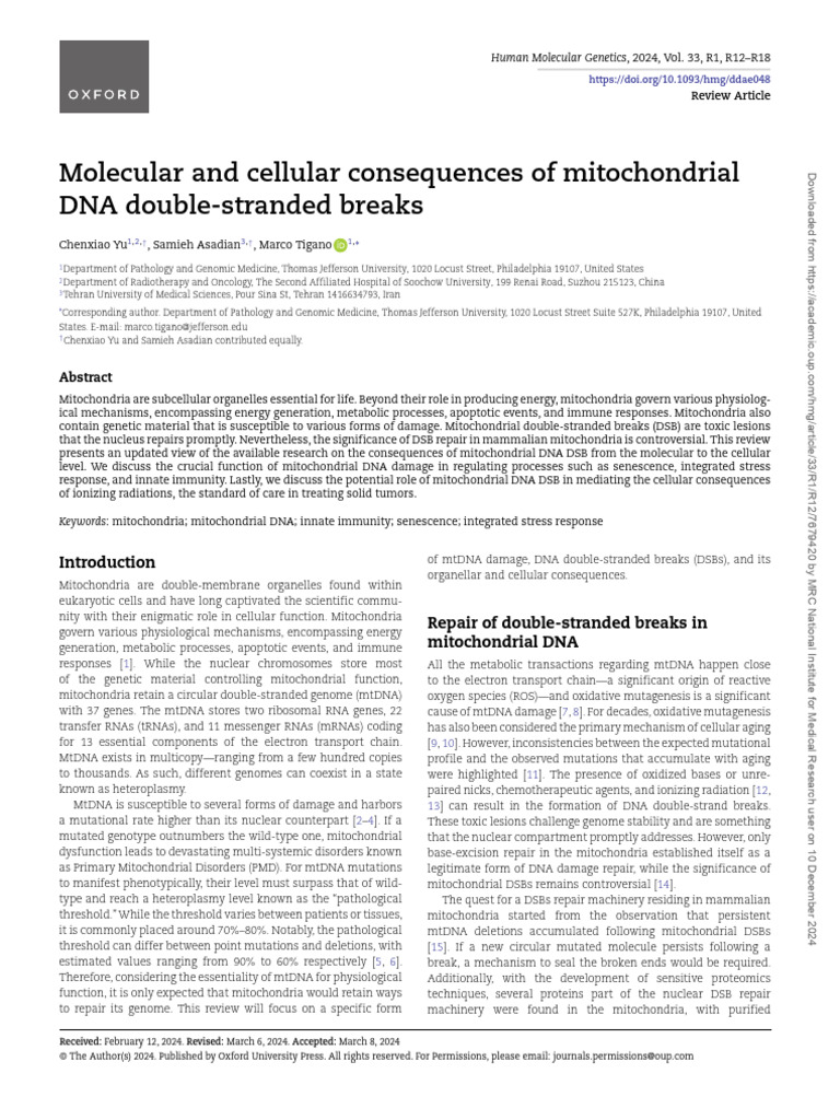 Molecular and Cellular Consequences of Mitochondrial DNA Damage | PDF ...