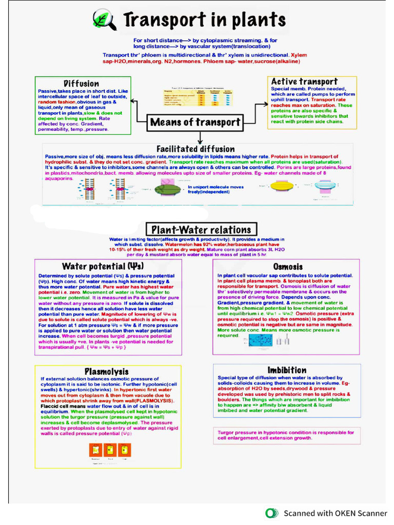 Plant Physiology | PDF