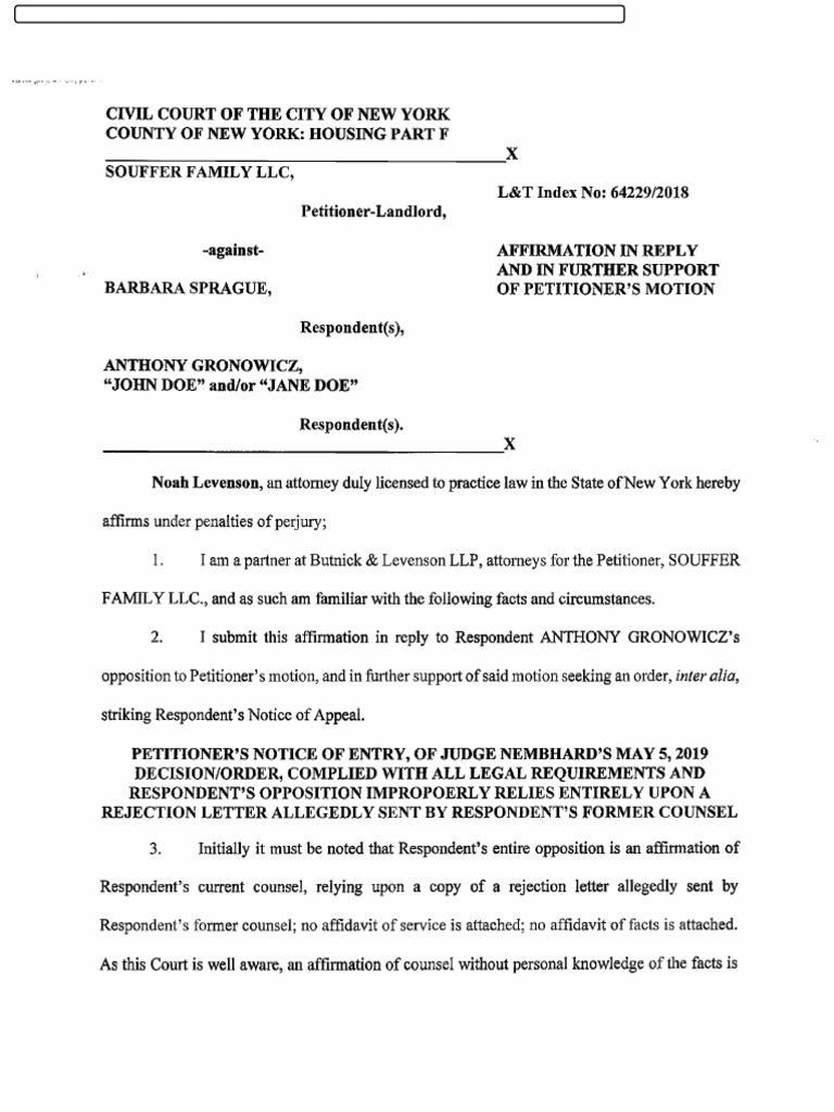 LT - 064229 - 18 - NY - Soufer - Family - LLC - V - Barbara - Sprague ...