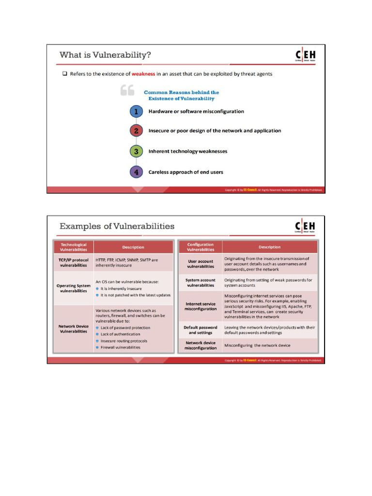 5-Vulnerability Analysis | PDF