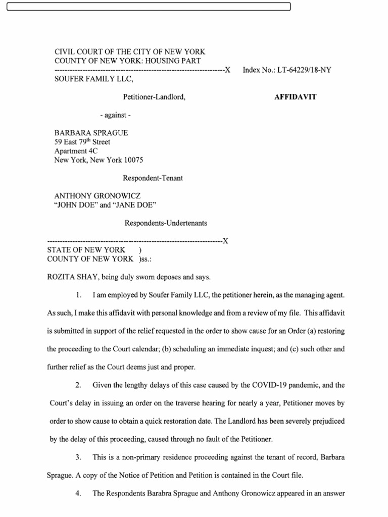 LT 064229 18 NY Soufer Family LLC V Barbara Sprague Et Al AFFIDAVIT OR ...